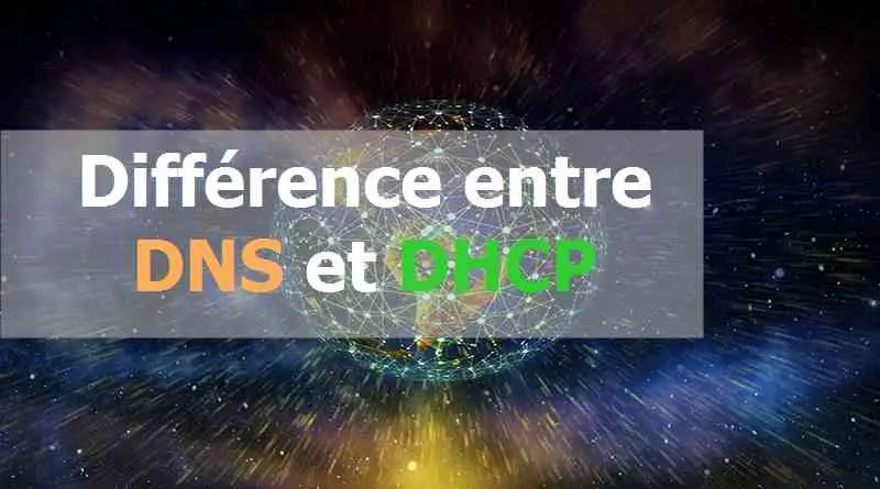 Différence entre DNS et DHCP - WayToLearnX