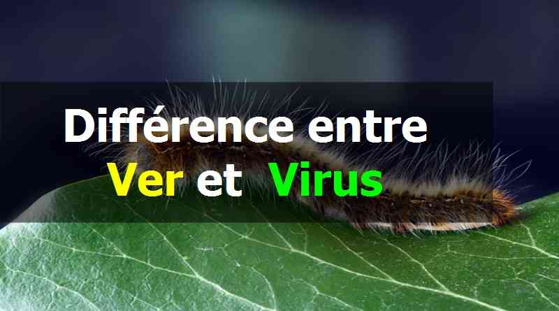 Différence entre un Ver et un Virus - WayToLearnX