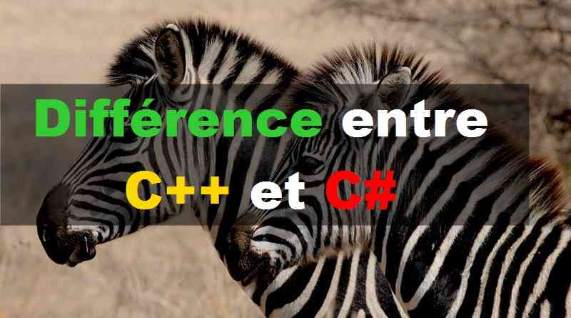 Différences entre C et C++ - WayToLearnX