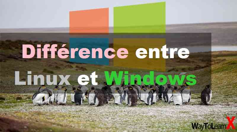 Différence entre Linux et Windows - WayToLearnX