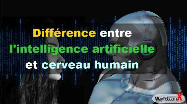 Différence entre apprentissage supervisé et non supervisé - WayToLearnX