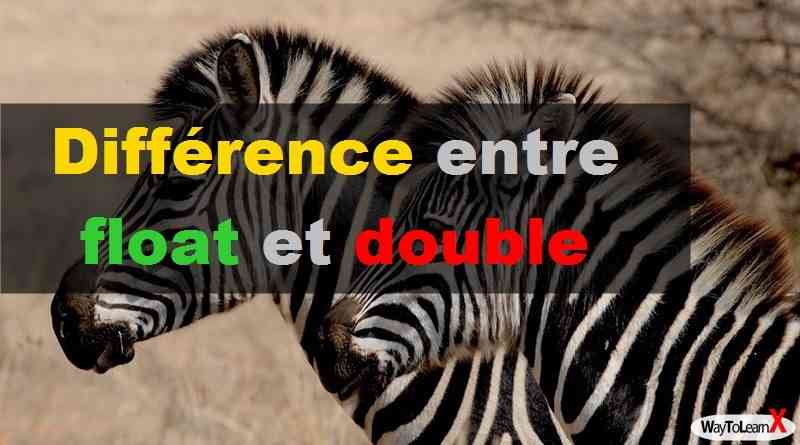 Différence entre float et double - WayToLearnX