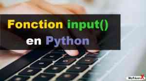Fonction input() - Python - WayToLearnX