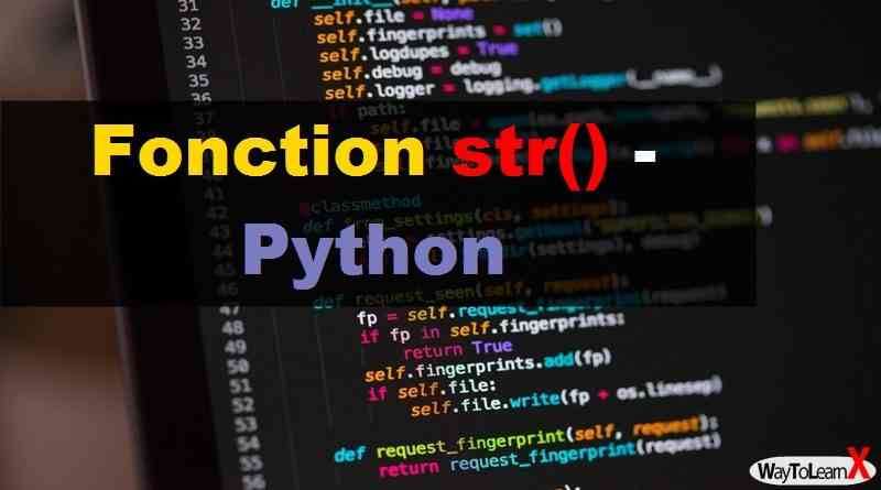 Fonction str() – Python - WayToLearnX