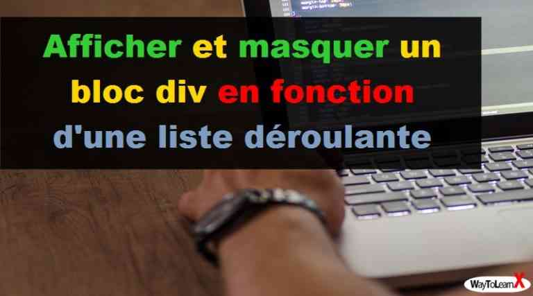 Afficher et masquer un bloc div en fonction d'une liste déroulante – JQuery - WayToLearnX