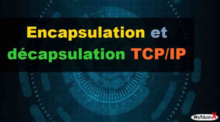 Structure de datagramme IP - WayToLearnX