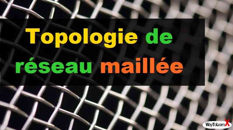 Topologie de réseau maillée - WayToLearnX
