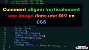 Comment aligner verticalement une image dans une DIV en CSS - WayToLearnX
