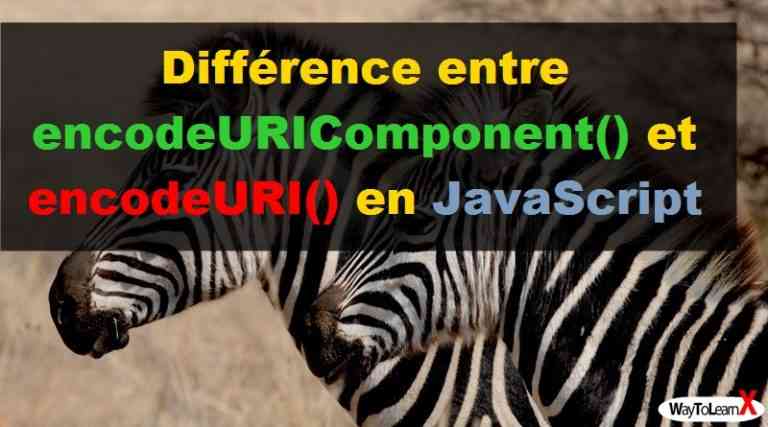 Différence entre encodeURIComponent() et encodeURI() en JavaScript ...