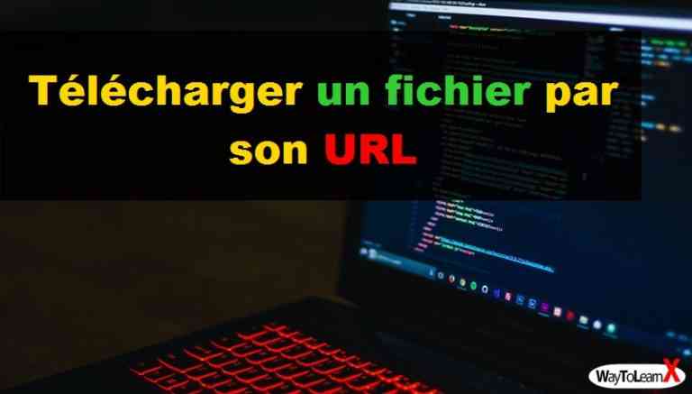 Comment ouvrir un fichier PDF dans le navigateur avec PHP - WayToLearnX