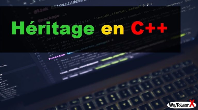 Polymorphisme en C++ - WayToLearnX