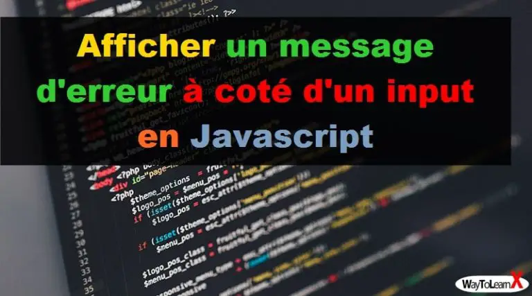 Afficher Un Message Derreur à Coté Dun Input En Javascript Waytolearnx