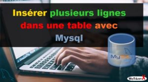 Insérer plusieurs lignes dans une table avec Mysql - WayToLearnX