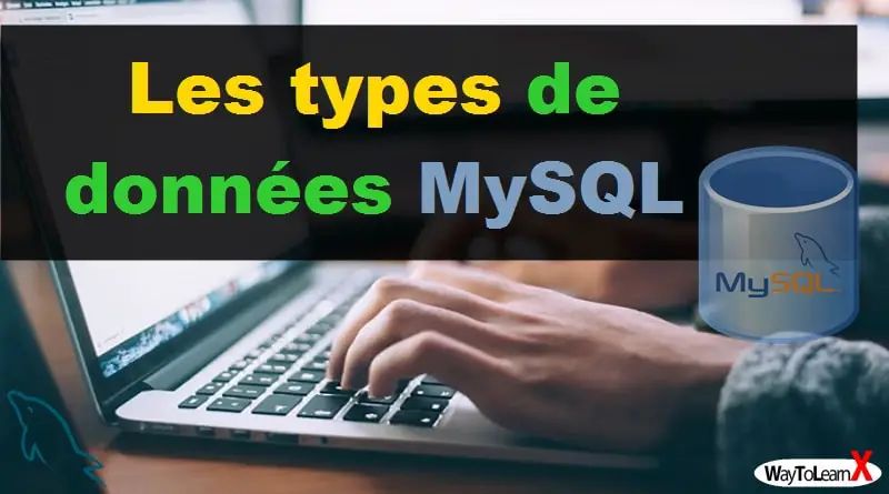 Les types de données MySQL - WayToLearnX