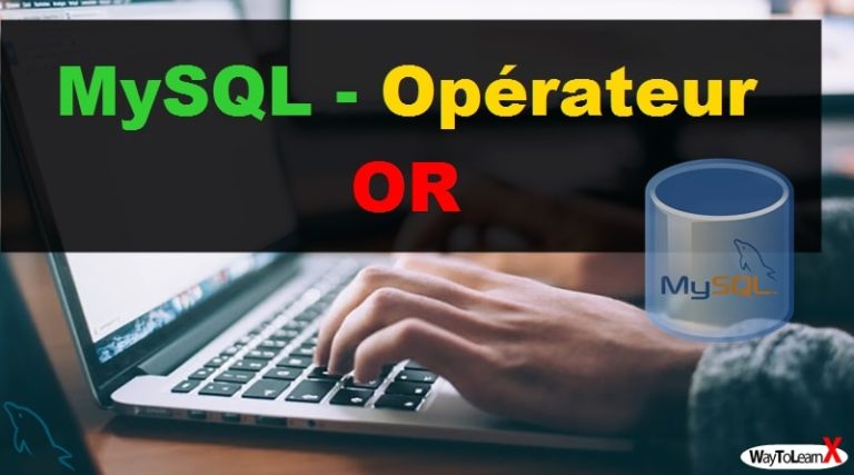 MySQL - Opérateur OR - WayToLearnX