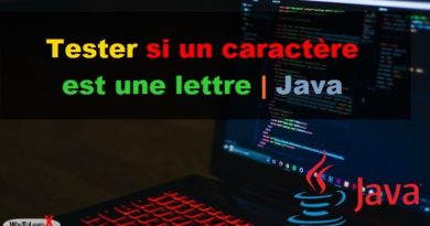 Matrice en Java - WayToLearnX