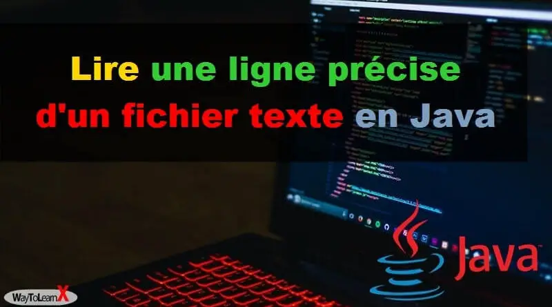 Lire une ligne précise d'un fichier texte en Java - WayToLearnX