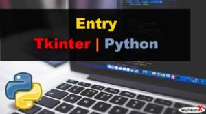Entry Tkinter | Python 3 - WayToLearnX