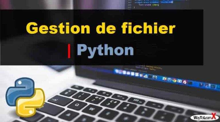 Gestion des fichiers en Python - WayToLearnX