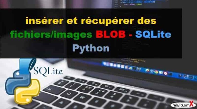 Python SQLite BLOB pour insérer et récupérer des fichiers/images ...