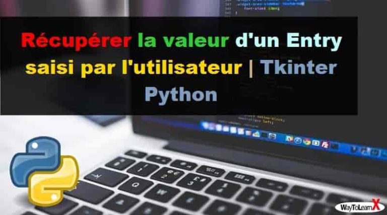 Augmenter la hauteur et largeur d'un widget Entry - Tkinter Python - WayToLearnX