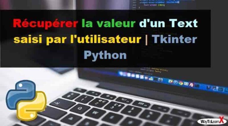 Récupérer La Valeur Dun Text Saisi Par Lutilisateur Tkinter Python