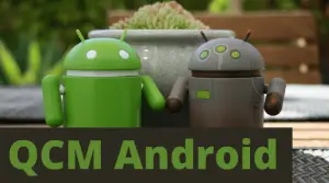 QCM Android Corrigé - Partie 1 - WayToLearnX